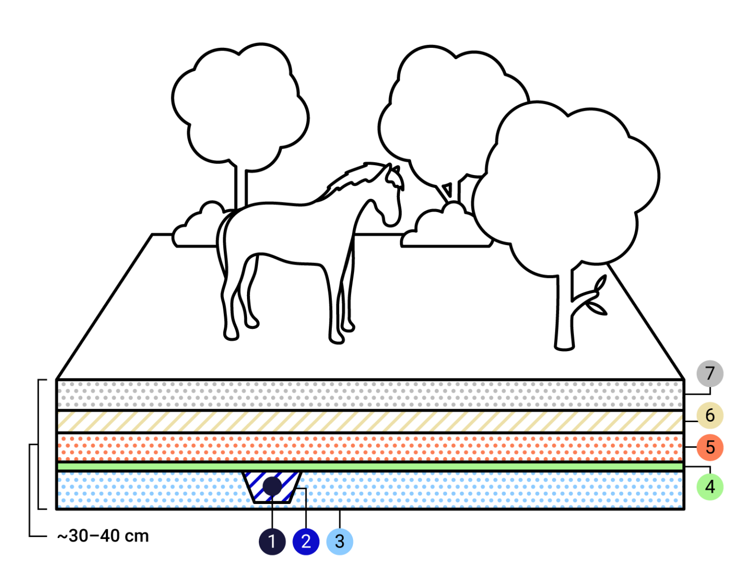 Guide til å anlegge en paddock - NCC Stein